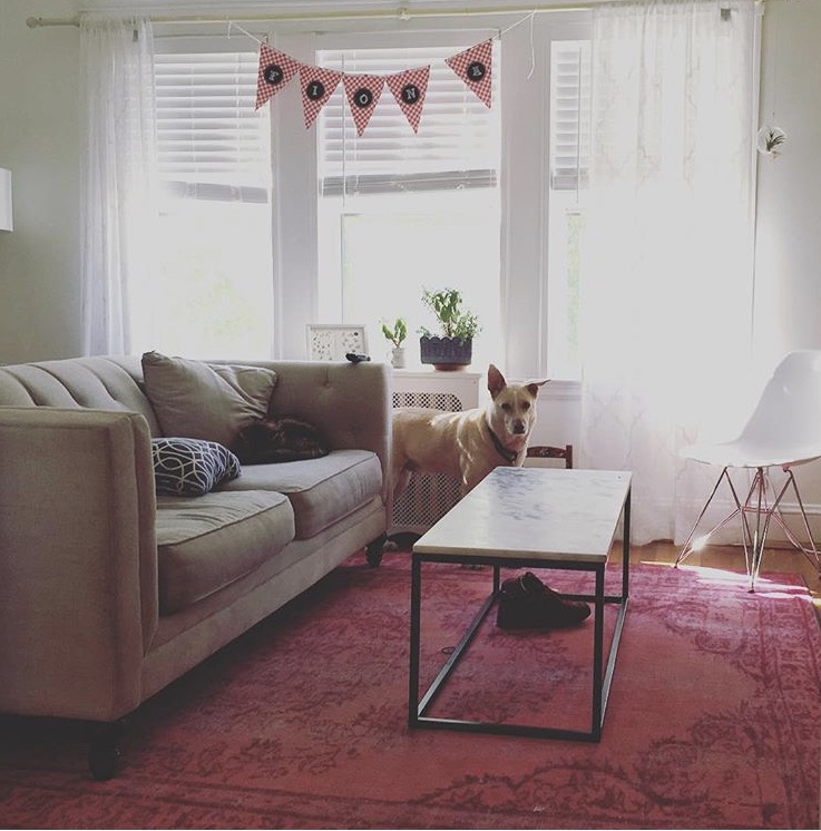 Our Beautiful, Uncomfortable Living Room – City Mouse